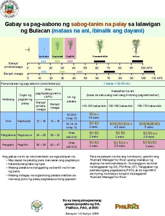 Quick guide for fertilizing directseeded rice in Bulacan
