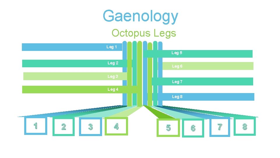Business Plan Octopus Business Plan Presentation Native Path