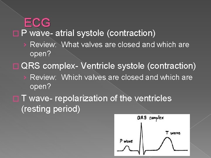 Cardiac Cycle Biology 2 Cardiac cycle A complete
