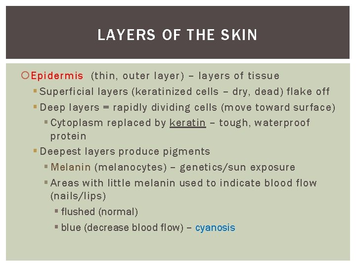 THE INTEGUMENTARY SYSTEM THE SKIN ANATOMY Notes MEMBRANES