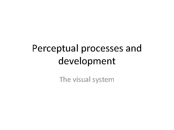 Perceptual processes and development The visual system The