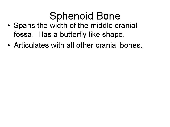 THE SKULL SIMPLY AMAZING Most complex bony structure