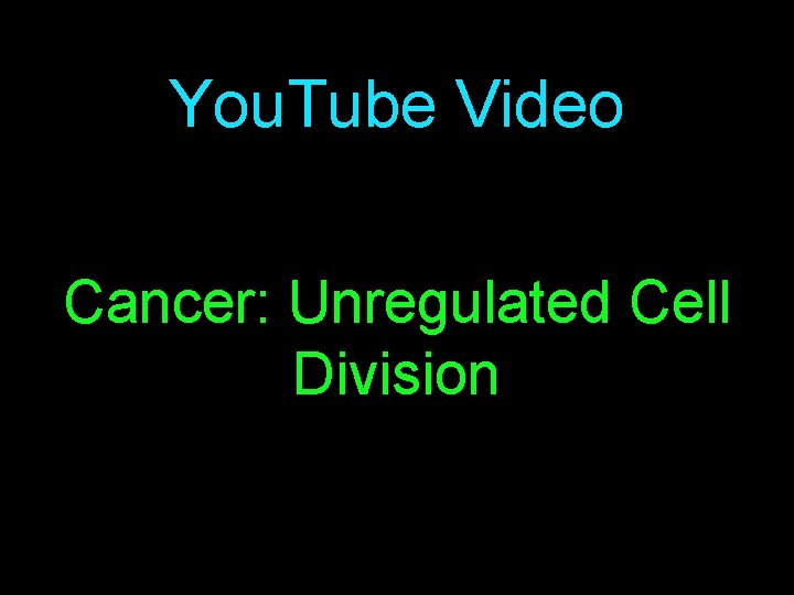 Regulation of the Cell Cycle Learning Objectives Describe