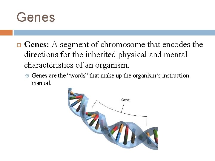 BIOPSYCHOLOGY AND THE FOUNDATIONS OF NEUROSCIENCE CHAPTER 3