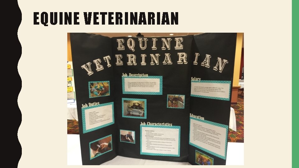 HEALTH CAREER DISPLAY IDEAS SLIDE SHOW WI HOSA