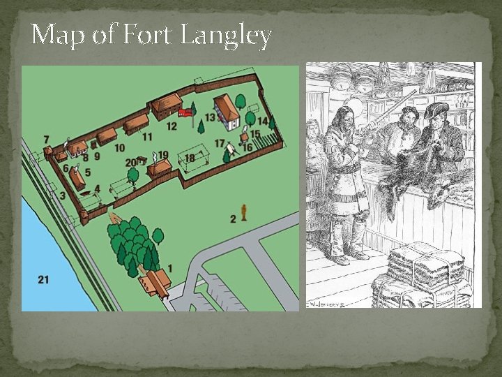 The Fur Trade The fight for the resources