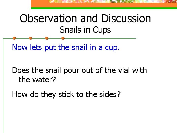 Observing Water Snails Part 3 Daily Objective Each