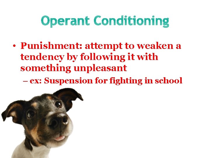Principles of Learning Chapter 9 Classical Conditioning Ivan