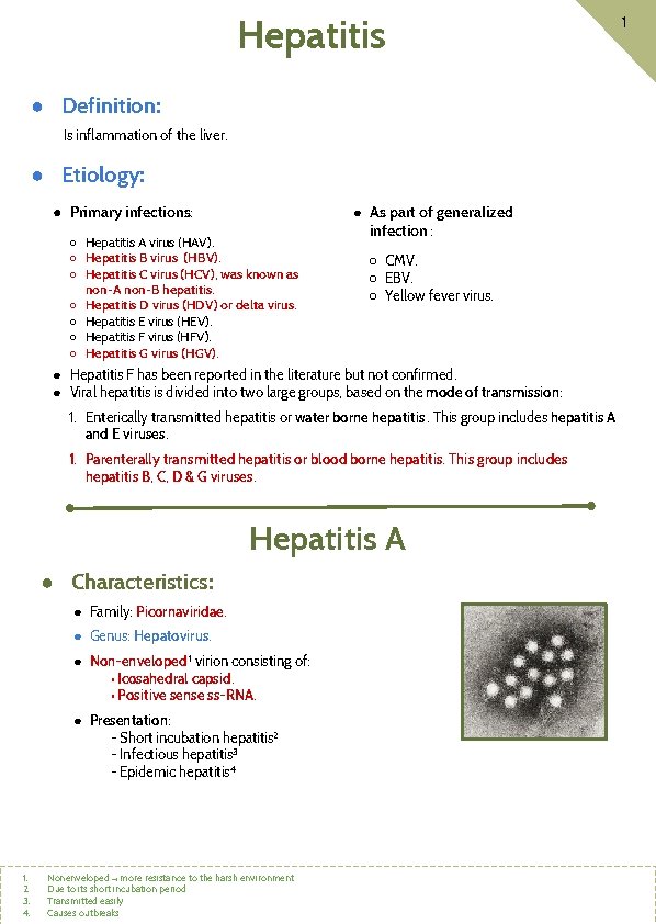 Viral hepatitis A and E others Lecture objectives