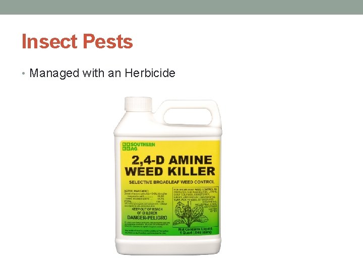 Objective 2 Identify Pests What is a pest