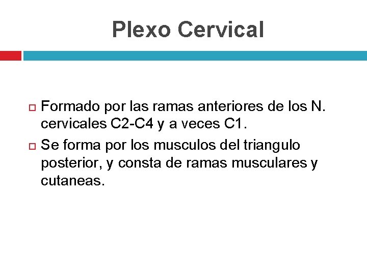 PLEXOS Cervical braquial y lumbosacro Plexo Cervical Formado