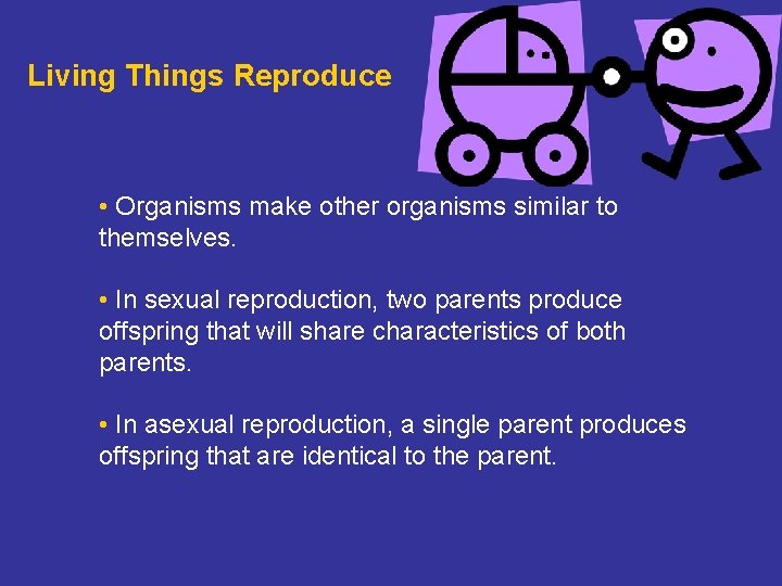 Characteristics of Living Things Objectives Describe the six