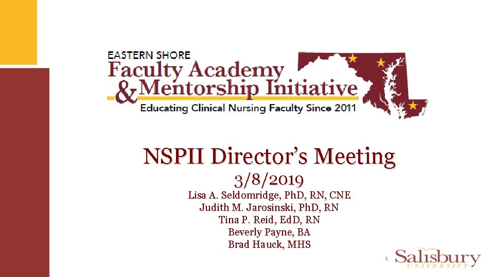 NSPII Directors Meeting 382019 Lisa A Seldomridge Ph