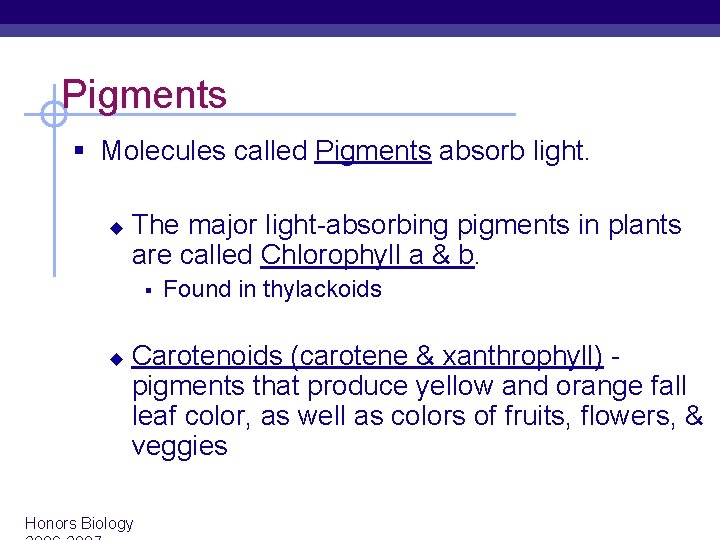 Photosynthesis Life from Light and Air Honors Biology