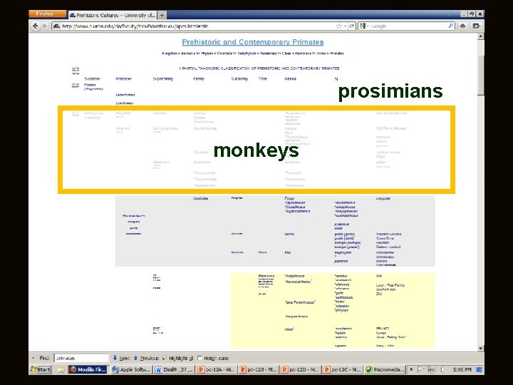 Introduction to Primates or how to make sense