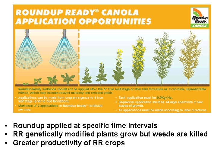 ROUNDUP GLYPHOSATE environmental exposure toxicity and mechanisms of