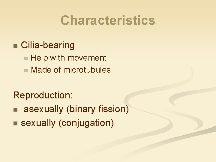 Animallike Protista Phylum Ciliophora aka Ciliabearing protist ...