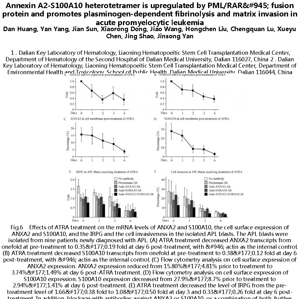 Annexin A 2 S 100 A 10 heterotetramer
