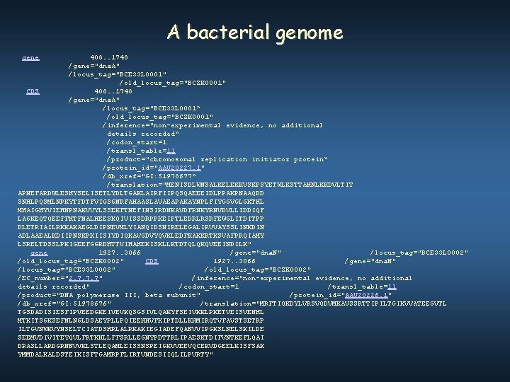 Predicting interactions between genes based on genome sequence