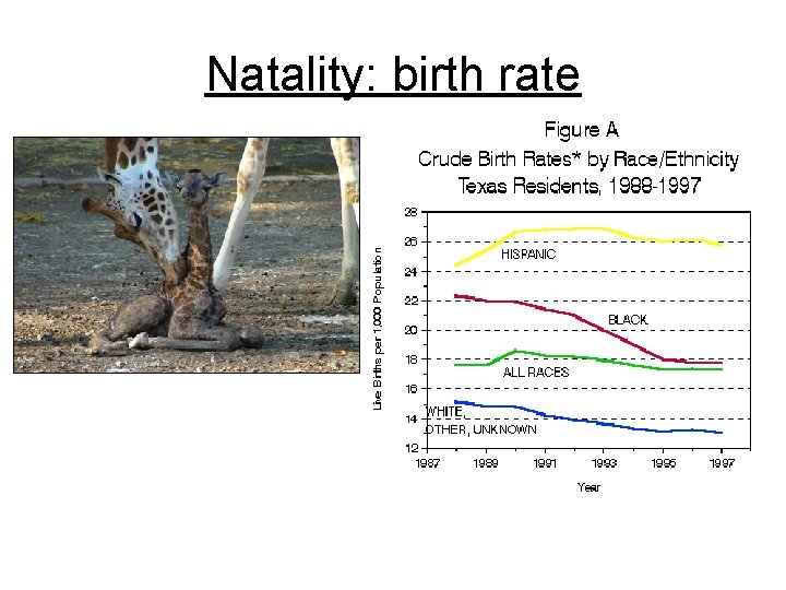 Biology 213 Chapter 53 Introduction to Ecology Population