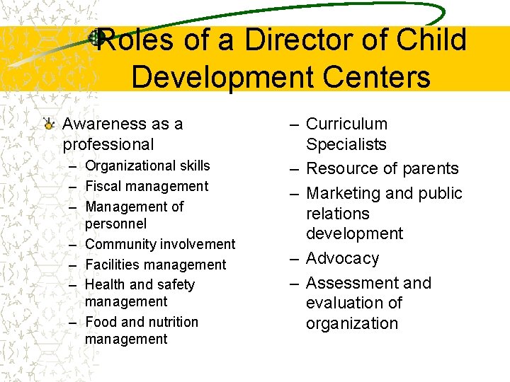 Types of Child Development Programs Chapter 2 Summary