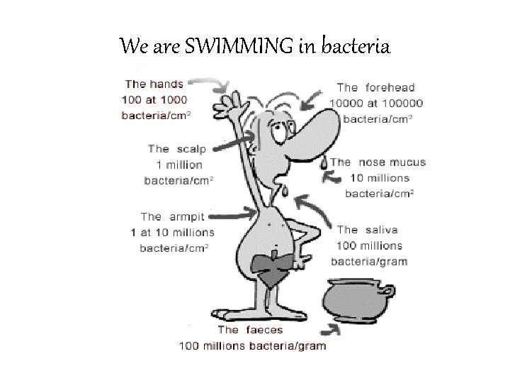 Microbiology Big Ideas 1 Groups of microorganisms have