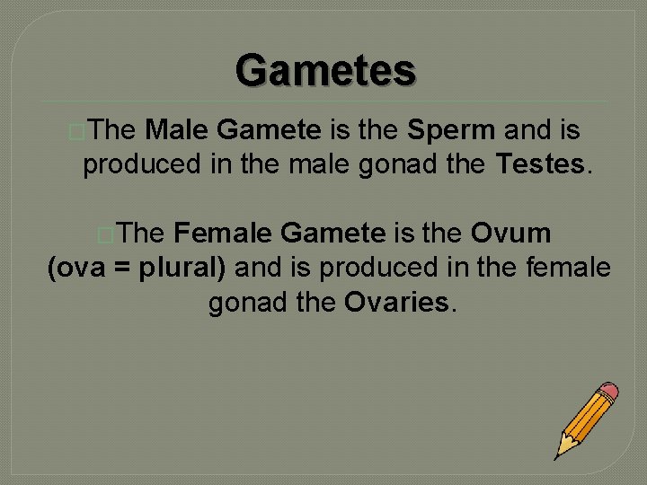 MEIOSIS Outcome Illustrate and describe the basic processes
