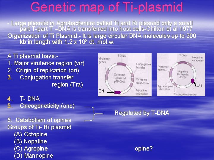 SEMINAR AGROBACTERIUM NATURAL GENETIC ENGINEER TDNA TRANSFER GENE