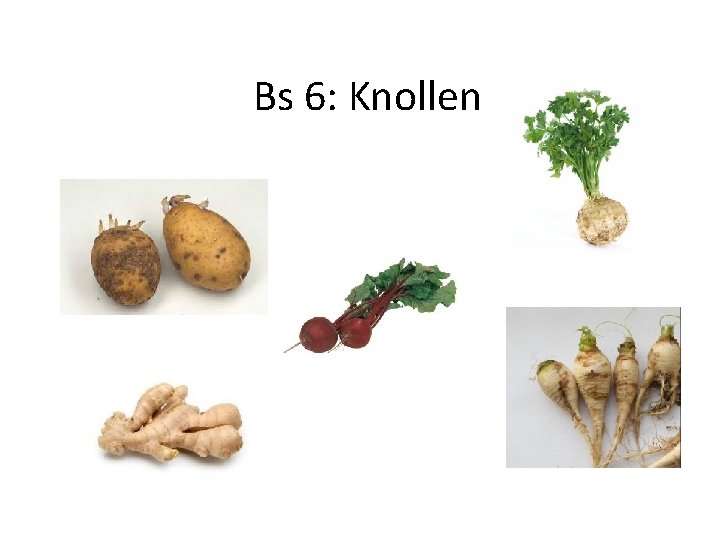 Bloemen vruchten zaden Biologie voor jou Klas 1