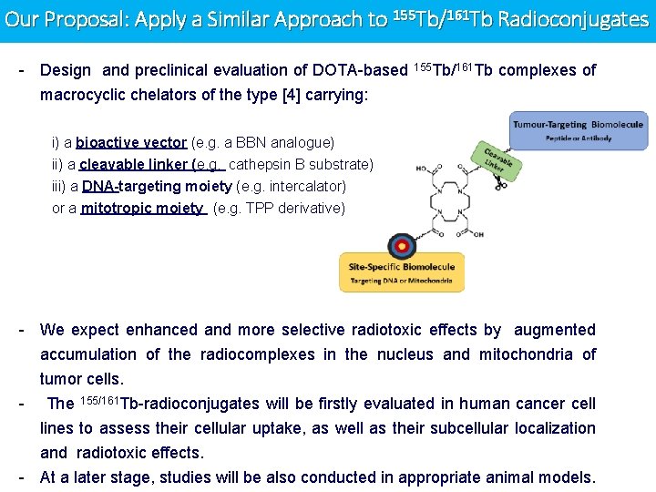 MED 021 155161 Tblabeled radioconjugates for cancer therapy