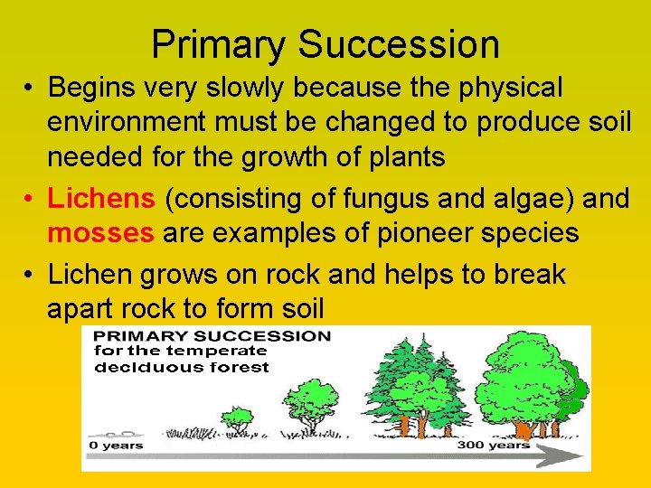 Ecological Succession Ecological Succession Ecosystems are constantly ...