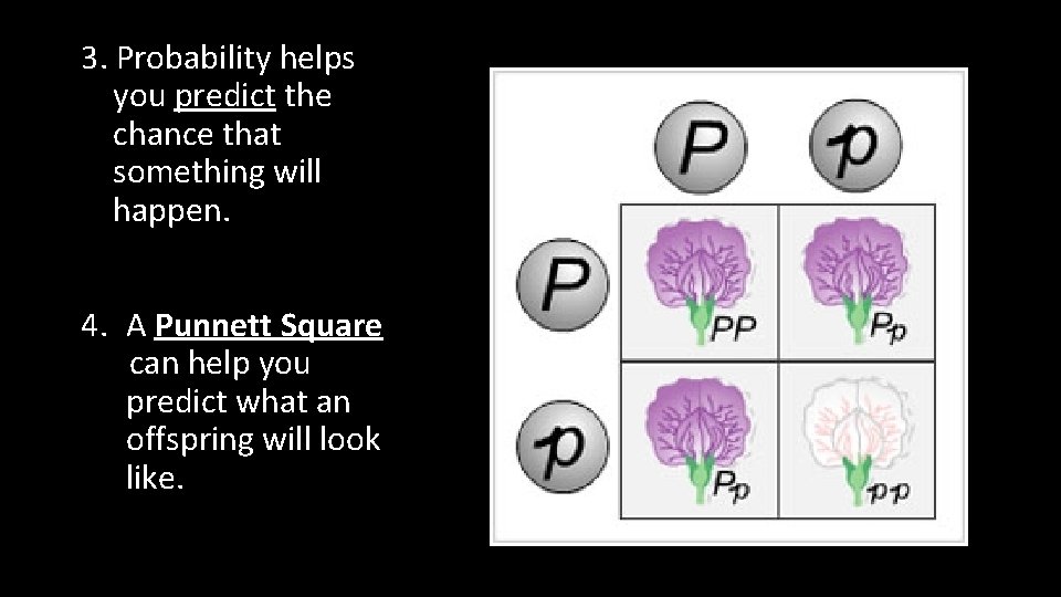Chapter 11 Heredity Section 1 Genetics A Heredity