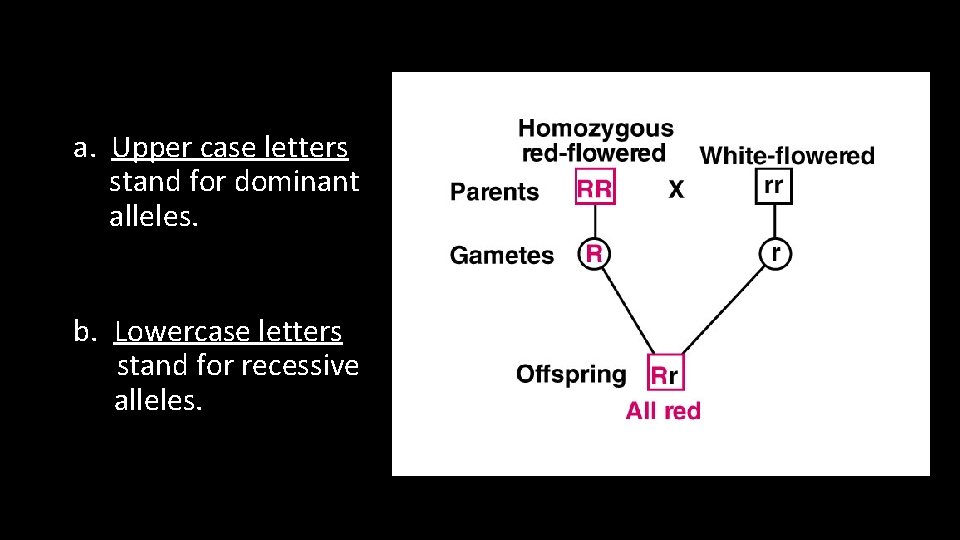 Chapter 11 Heredity Section 1 Genetics A Heredity