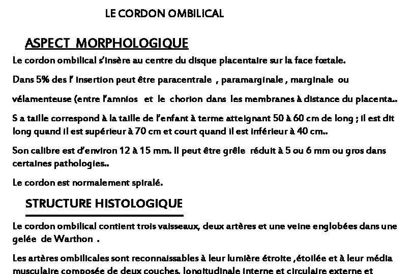 LE PLACENTA Le placenta humain se prsente comme
