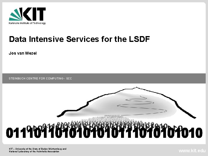Data Intensive Services for the LSDF Jos van