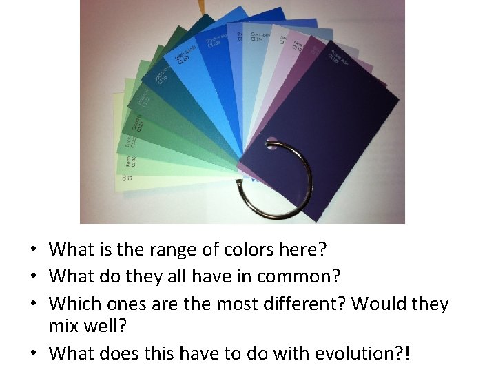 What is the range of colors here What