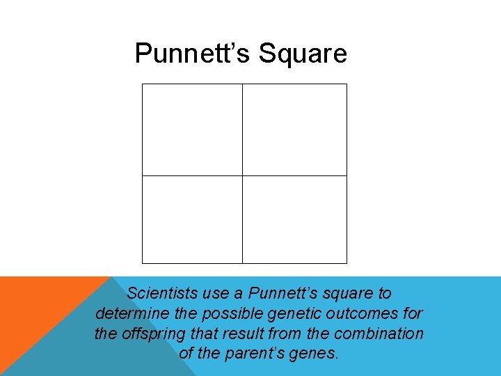 Punnett Squares Important to know before getting started