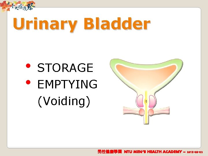 Dissecting Male Lower Urinary Tract Symptoms Pathophysiological and