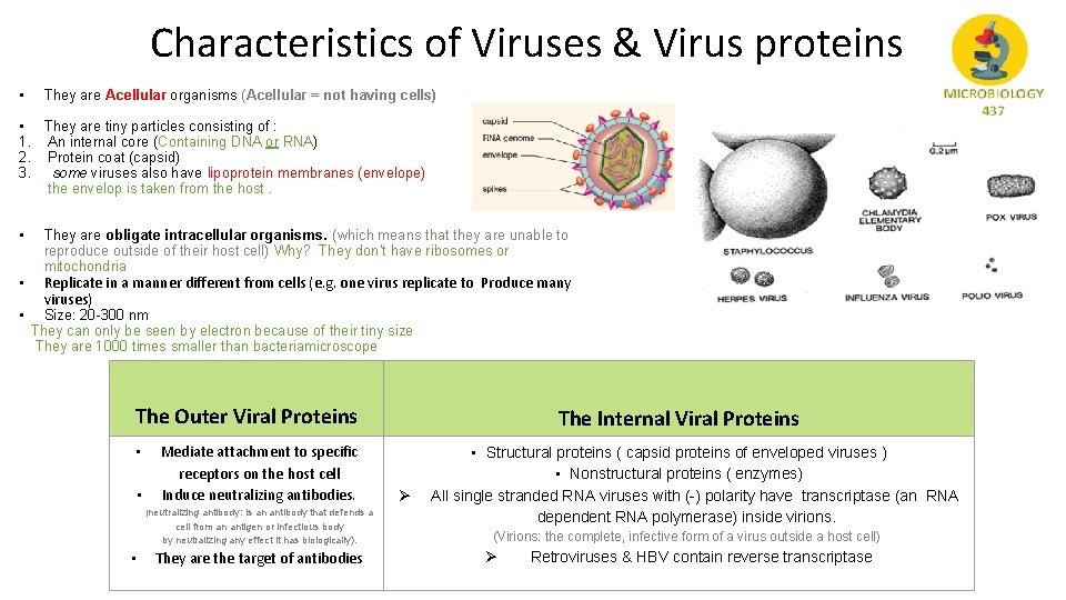 Microbiology Lecture 7 Introduction to viruses TEAM 437