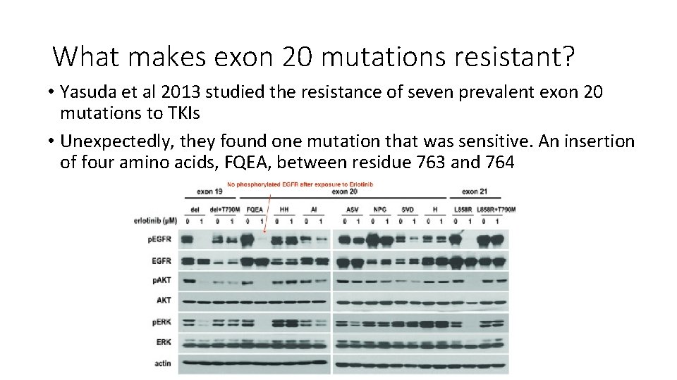 Defining Epidermal Growth Factor Receptor exon 20 mutant