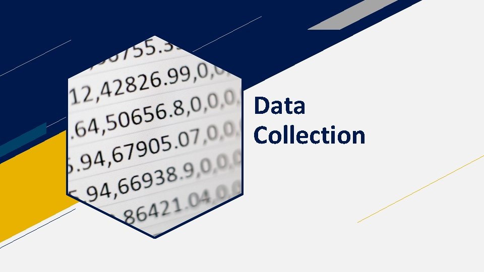 Project Management in R 47 th Annual Biology