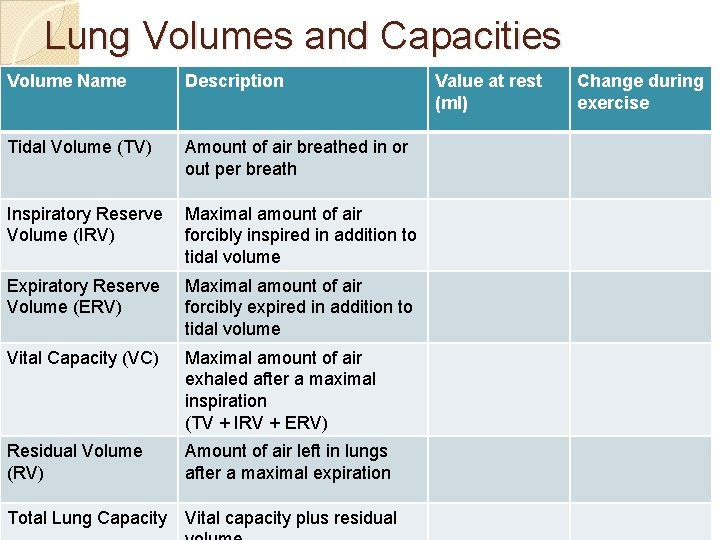 Lung Function Learning Objectives 1 To understand the