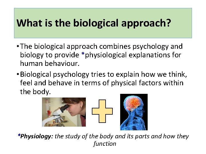 The Biological Approach Specification details Basic assumptions of