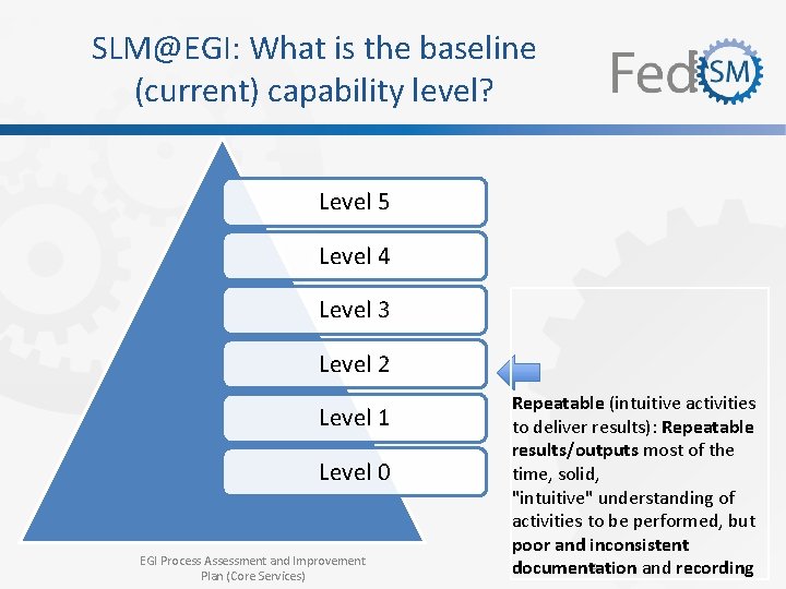 EGI Process Assessment and Improvement Plan EGI core