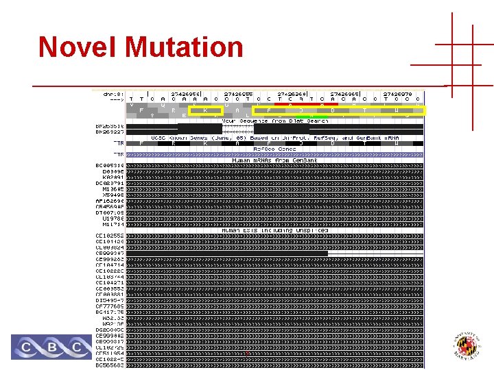 Novel Peptide Identification using ESTs and Sequence Database