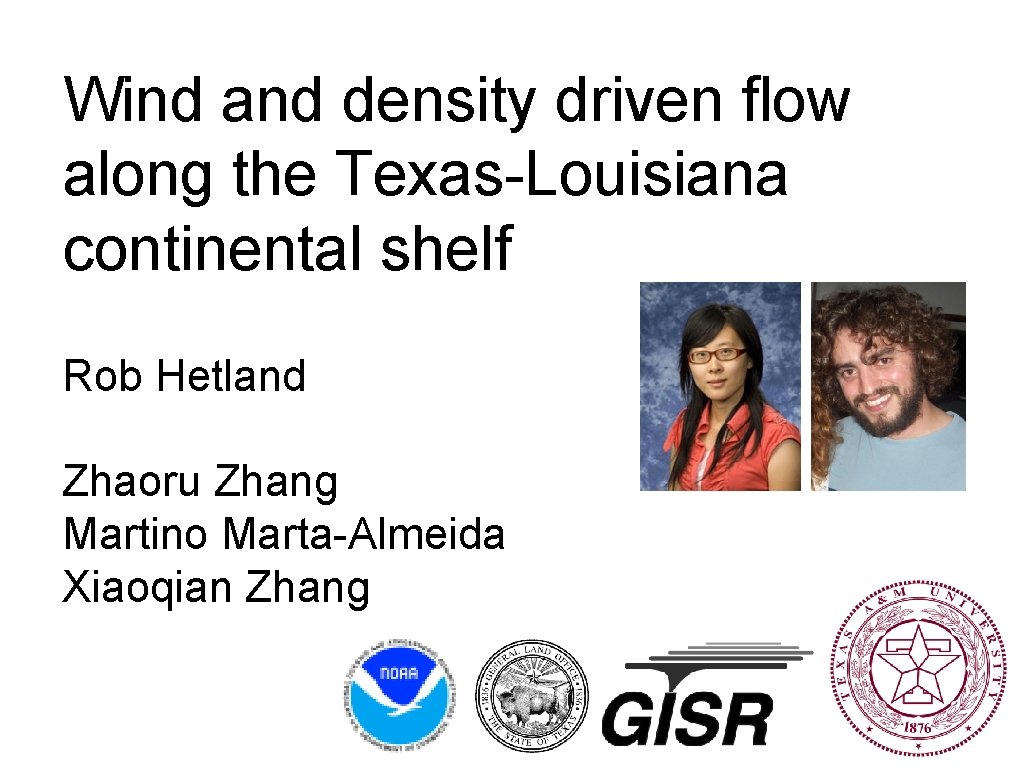 Wind and density driven flow along the TexasLouisiana