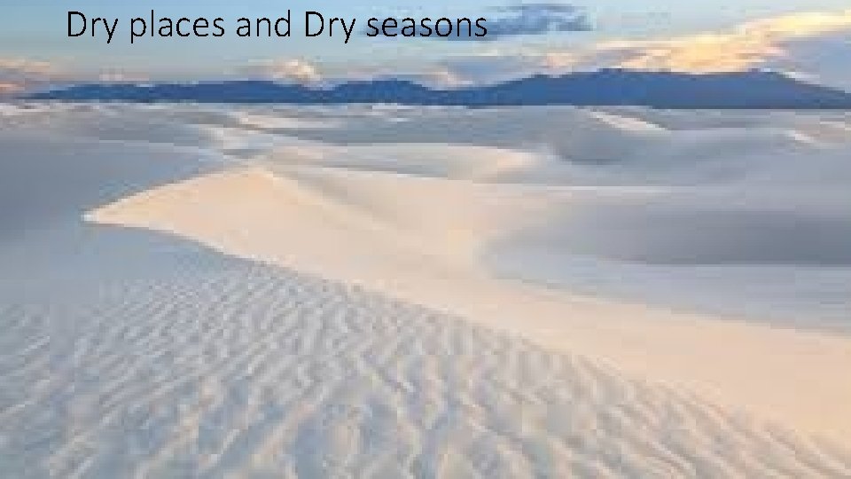 Dry places and Dry seasons Dubai Jericho Masada