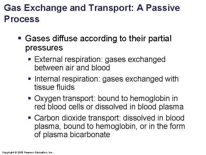 Respiratory System Exchange of Gases LOWER RESPIRATORY TRACT