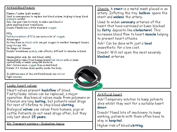 Double circulation Blood passes through the heart twice
