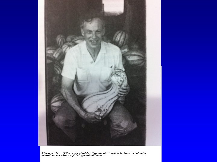 Dr Edward Coughlan Clinical Director Christchurch Sexual Health